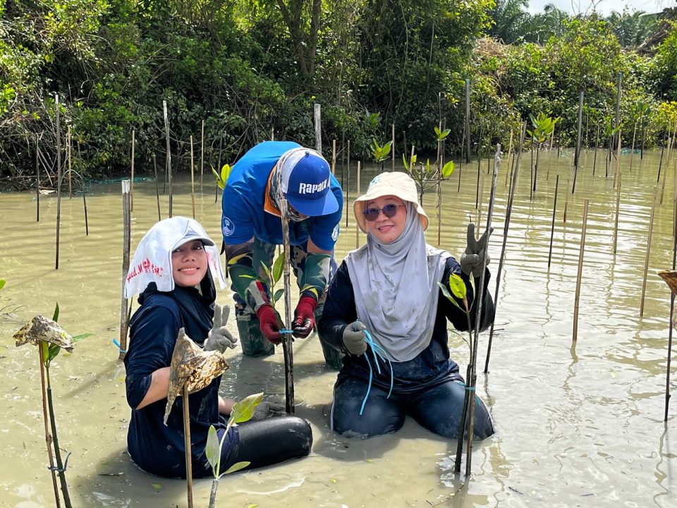 MHB plants 500 mangrove trees supporting global decarbonisation effort ...